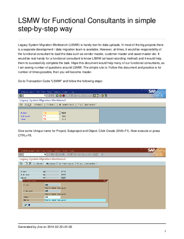 (PDF) LSMW for Functional Consultants in simple step-by-step way