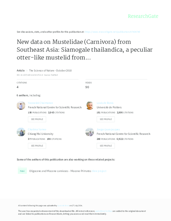 (PDF) New data on Mustelidae (Carnivora) from Southeast Asia: Siamogale ...