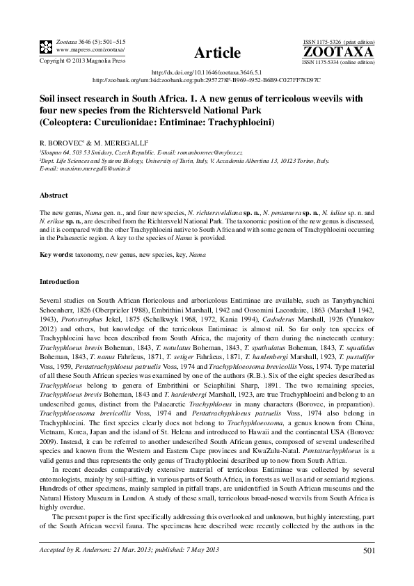 (PDF) Soil insect research in South Africa. 1. A new genus of ...