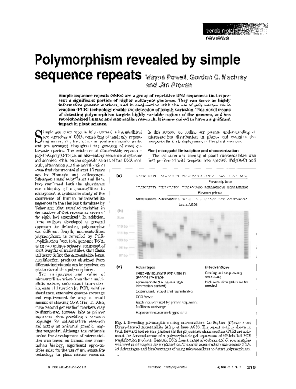 (PDF) Polymorphism revealed by simple sequence repeats