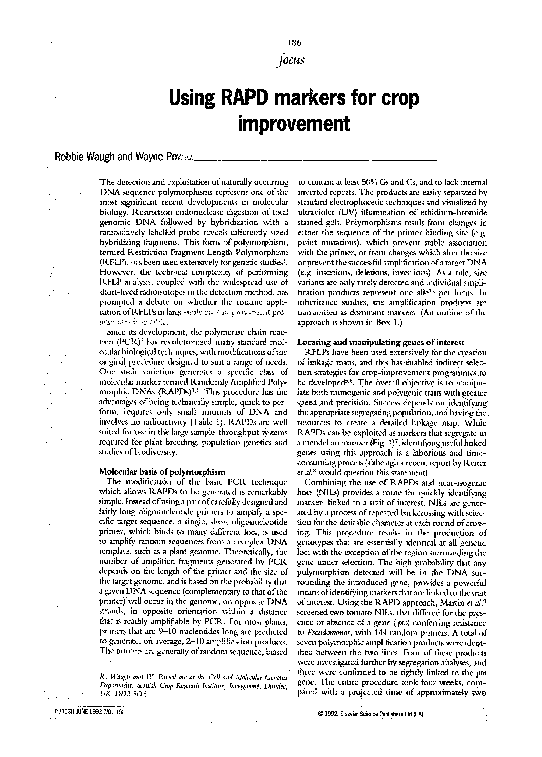 (PDF) Using RAPD markers for crop improvement