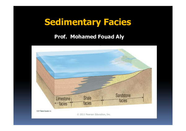 (PDF) Sedimentary Facies