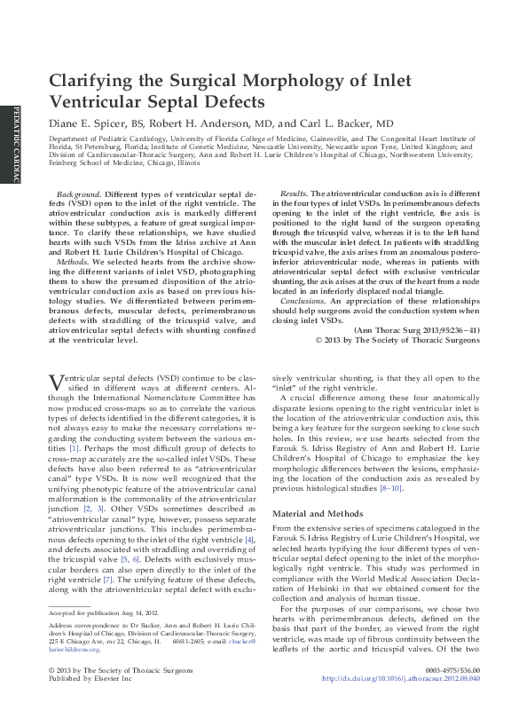 (PDF) Clarifying the Surgical Morphology of Inlet Ventricular Septal ...