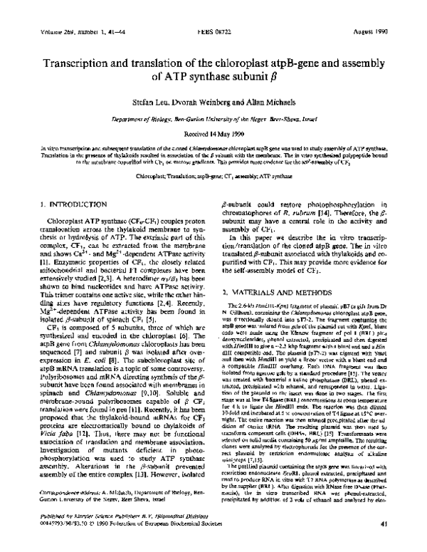 (PDF) Transcription and translation of the chloroplast atpB-gene and ...