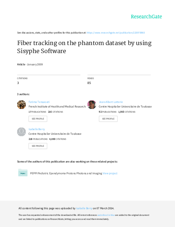 (PDF) Fiber tracking on the phantom dataset by using Sisyphe Software