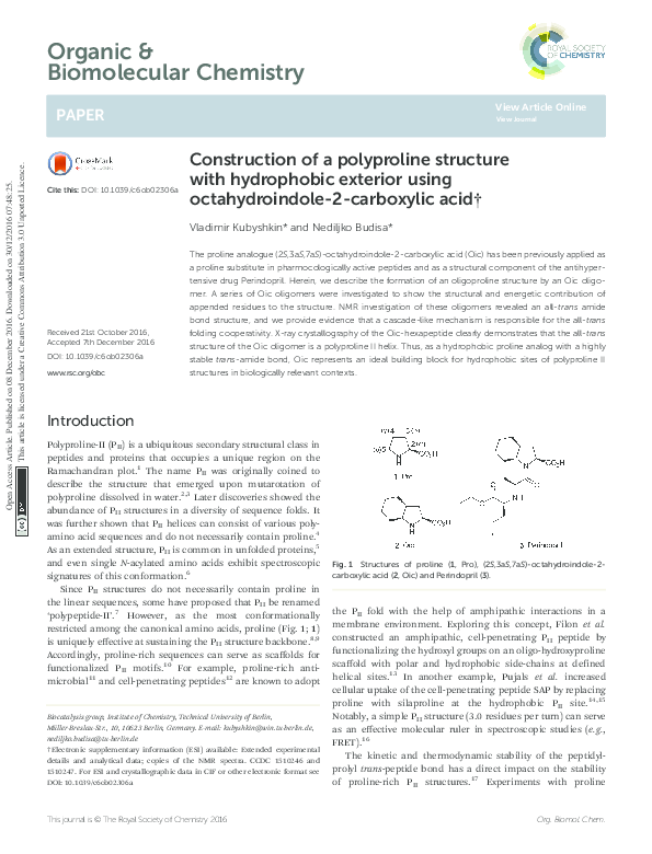 (PDF) Construction of a polyproline structure with hydrophobic exterior ...