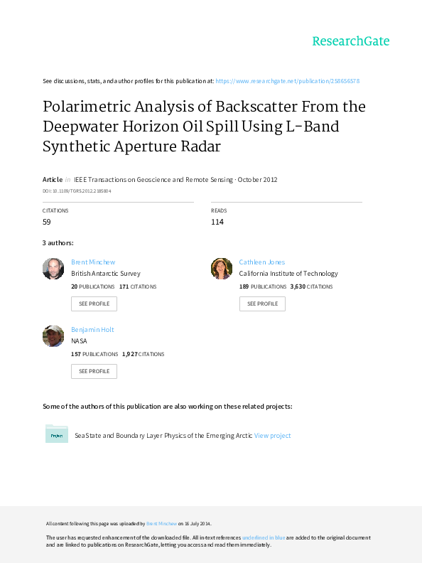 (PDF) Polarimetric Analysis of Backscatter From the Deepwater Horizon Oil Spill Using L-Band ...