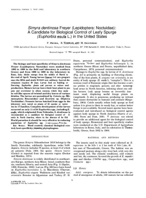 (PDF) Simyra dentinosa freyer (Lepidoptera: Noctuidae): A candidate for ...
