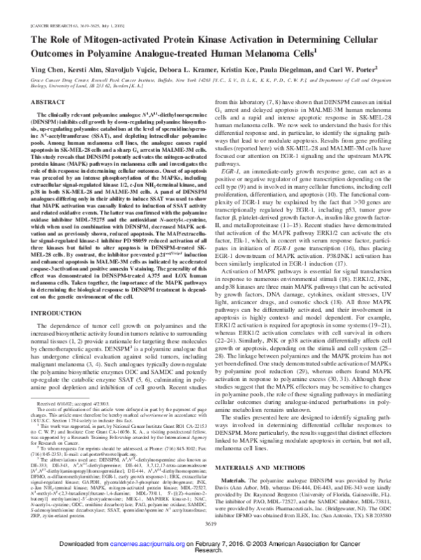 Pdf The Role Of Mitogen Activated Protein Kinase Activation In Determining Cellular Outcomes