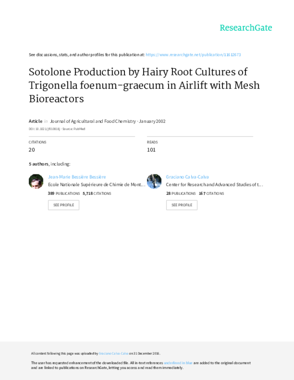 (PDF) Sotolone production by hairy root cultures of Trigonella foenum ...
