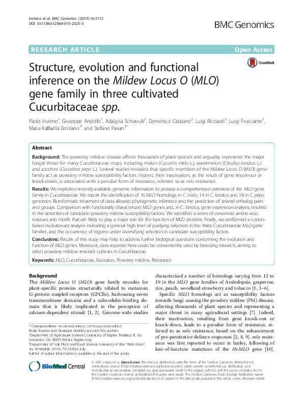 (PDF) Structure, evolution and functional inference on the Mildew Locus ...
