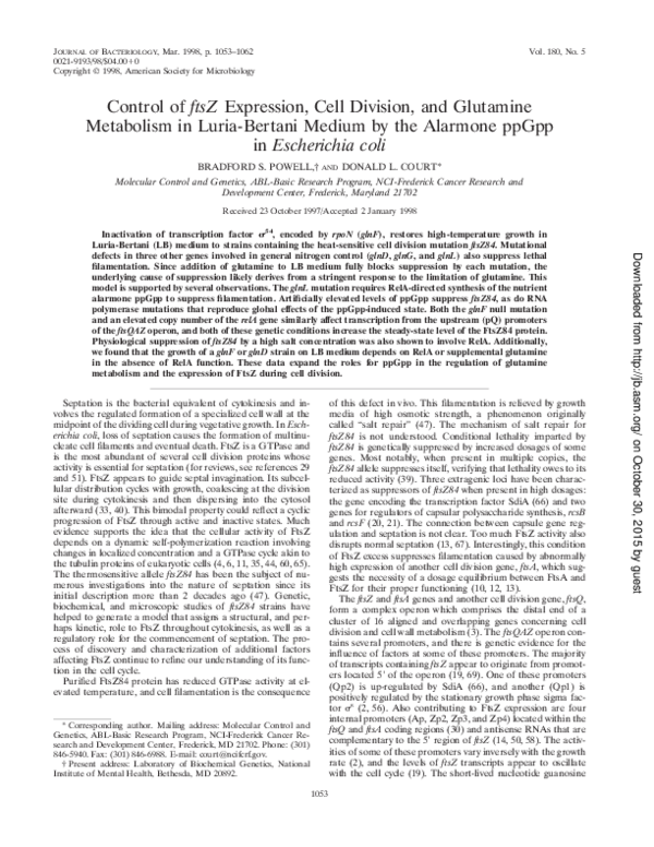 (PDF) Control of ftsZ Expression, Cell Division, and Glutamine ...
