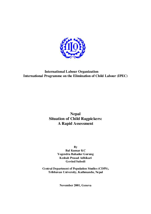 (PDF) International Labour Organization International Programme on the ...