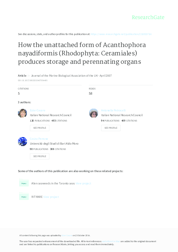 (PDF) How the unattached form of Acanthophora nayadiformis (Rhodophyta ...