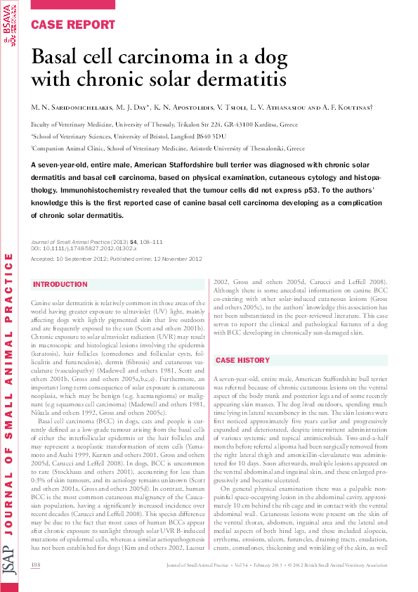 (PDF) Basal cell carcinoma in a dog with chronic solar dermatitis