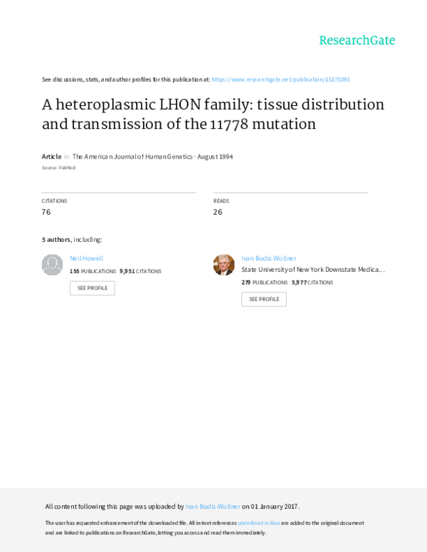 (PDF) A heteroplasmic LHON family: tissue distribution and transmission ...