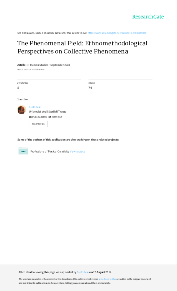 (PDF) The Phenomenal Field: Ethnomethodological Perspectives on ...