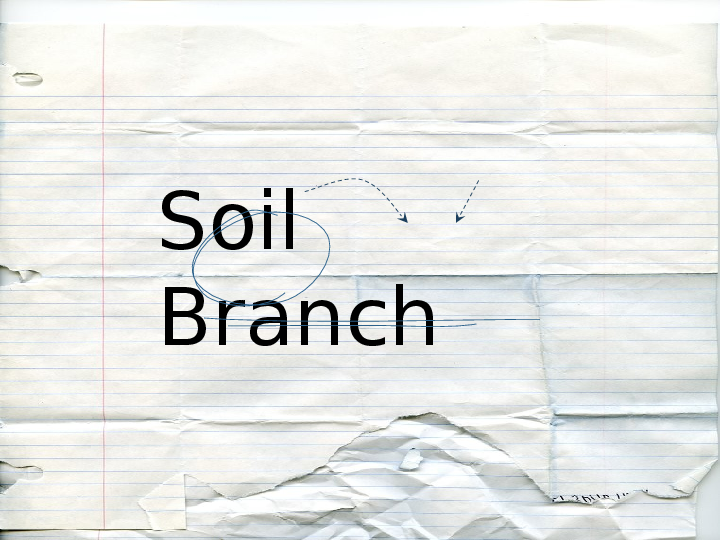 (PPT) SOIL BRANCH