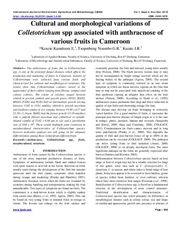 (PDF) INFLUENCE OF ABIOTIC FACTORS ON THE GROWTH OF Colletotrichum ...