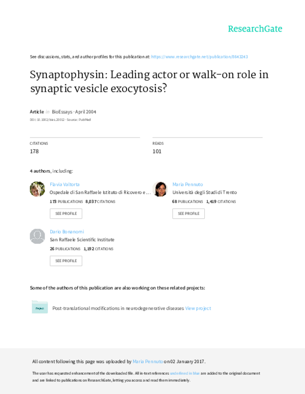 (PDF) Synaptophysin: Leading Actor or Walk-on Role In Synaptic Vesicle ...