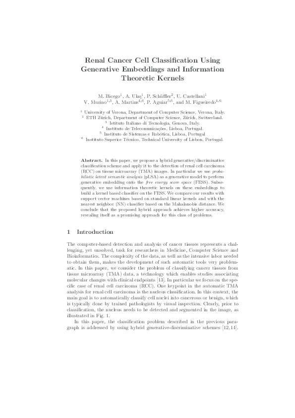 (PDF) Renal Cancer Cell Classification Using Generative Embeddings and Information Theoretic Kernels