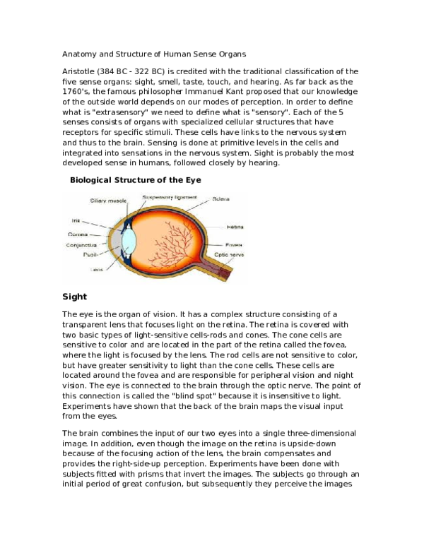 (DOC) Anatomy and Structure of Human Sense Organs