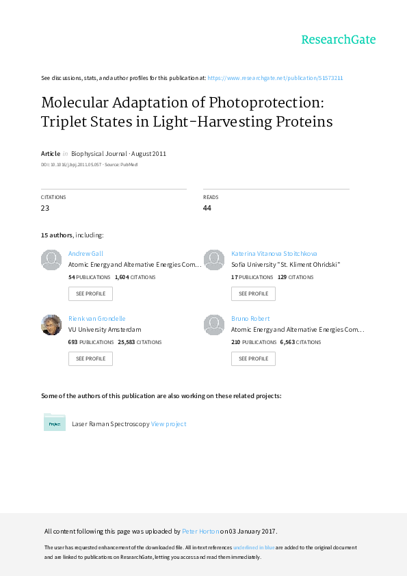 (PDF) Molecular Adaptation of Photoprotection: Triplet States in Light ...