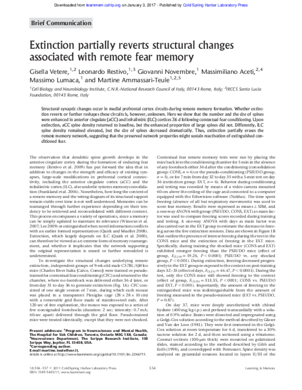 (PDF) Extinction partially reverts structural changes associated with ...