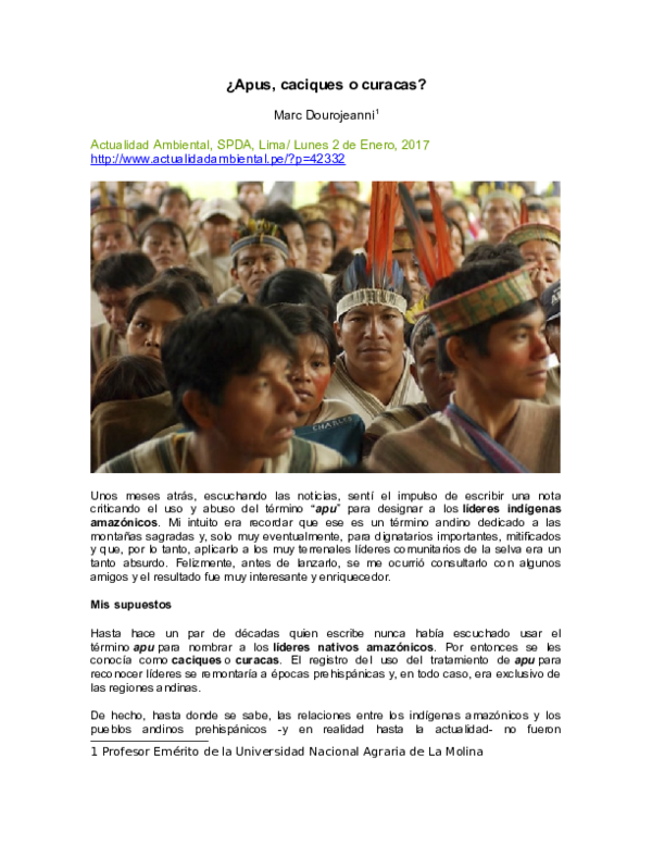 (DOC) Apus, curacas o caciques?