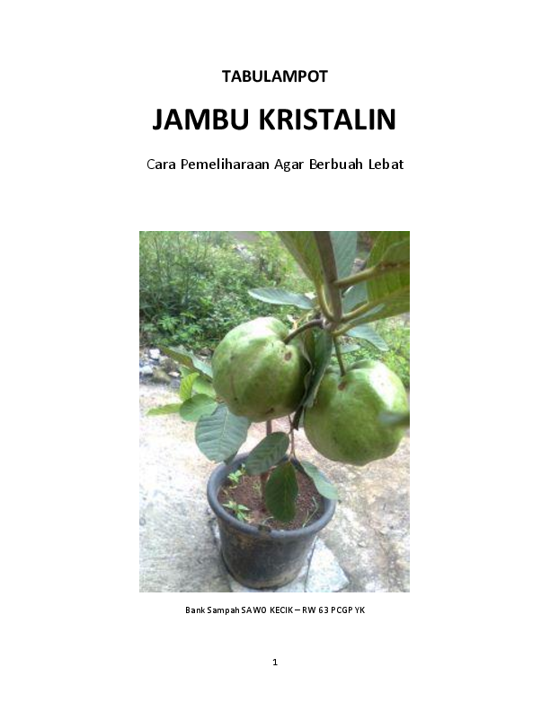 (PDF) TABULAMPOT JAMBU KRISTALIN