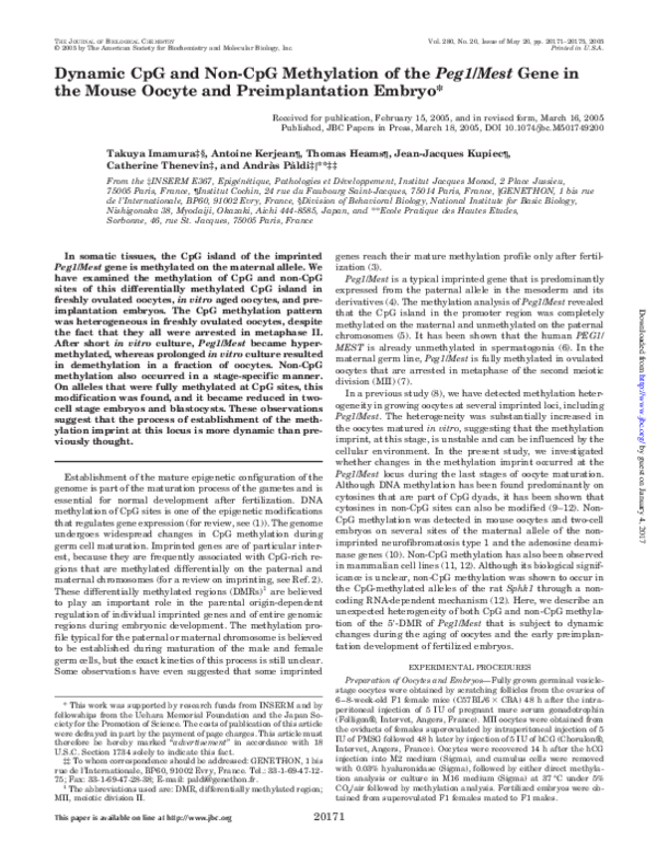 (PDF) Dynamic CpG and non-CpG methylation of the Peg1/Mest gene in the ...