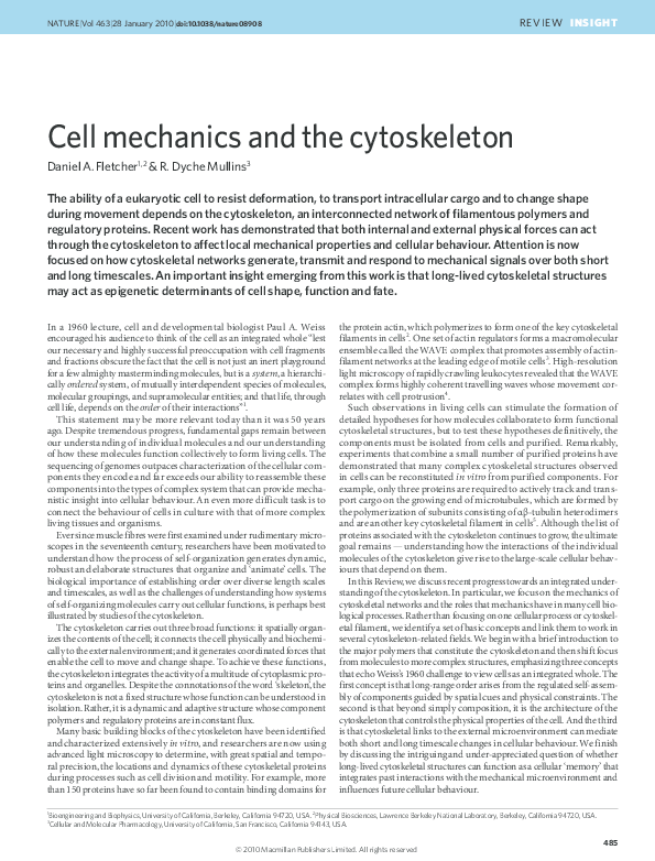 (PDF) Cell mechanics and the cytoskeleton
