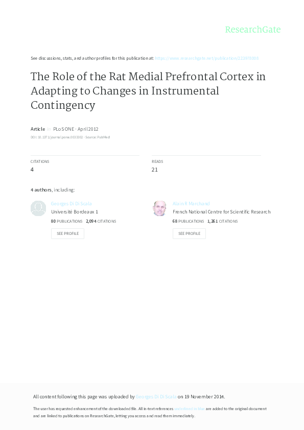 (PDF) The Role of the Rat Medial Prefrontal Cortex in Adapting to Changes in Instrumental ...