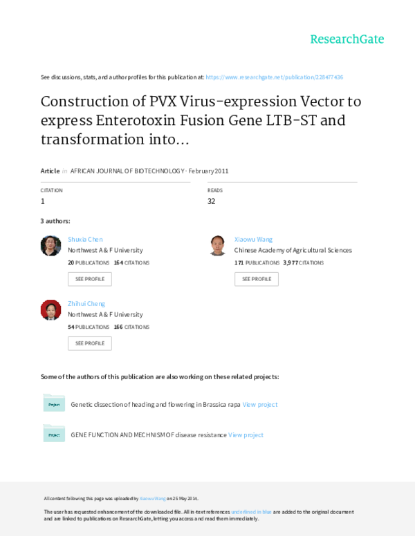 (PDF) Construction of PVX virus-expression vector to express ...