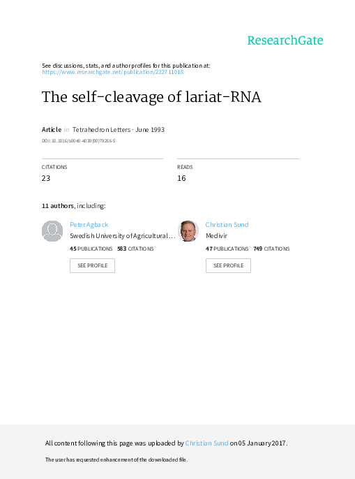 (PDF) The self-cleavage of lariat-RNA