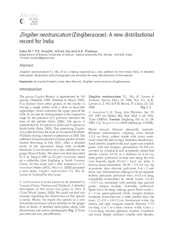 (PDF) Zingiber neotruncatum (Zingiberaceae) A new distributional record ...