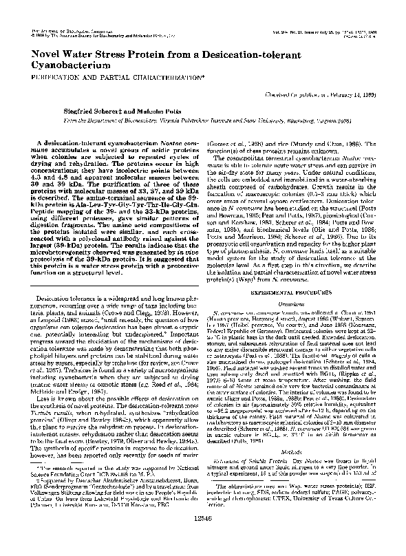 (PDF) Novel water stress protein from a desiccation-tolerant ...