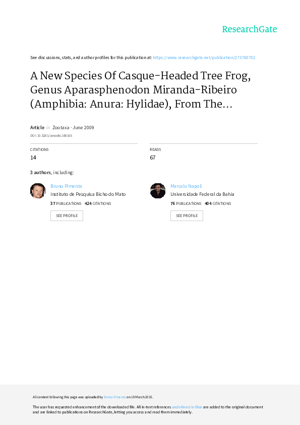 (PDF) Hyla luctuosa, a new treefrog from southeastern Brazil (Amphibia ...