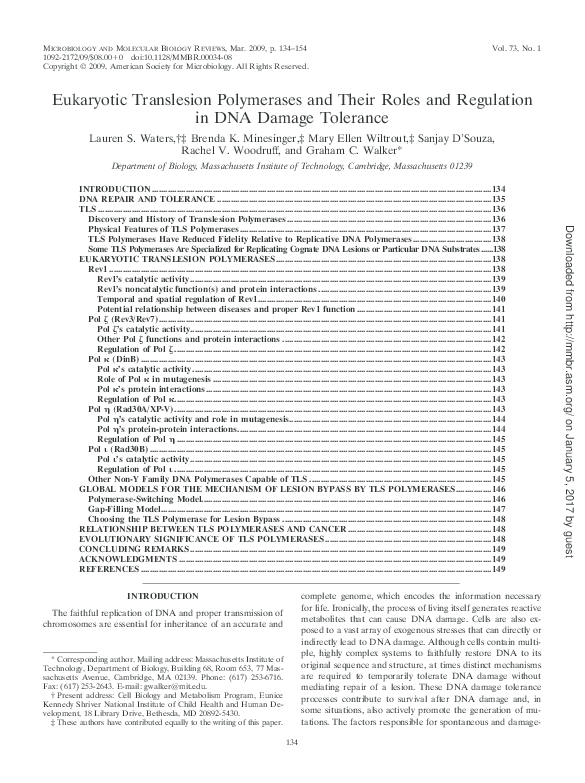 (PDF) Eukaryotic translesion polymerases and their roles and regulation ...