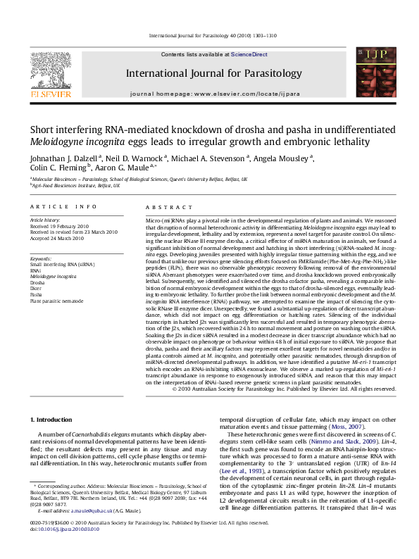 (PDF) Short interfering RNA-mediated knockdown of drosha and pasha in ...