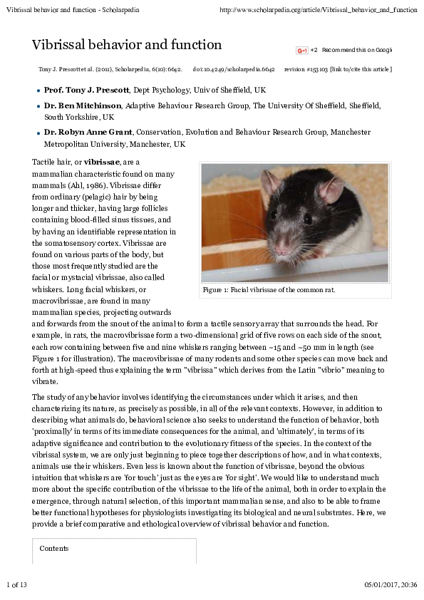 (PDF) Vibrissal behavior and function