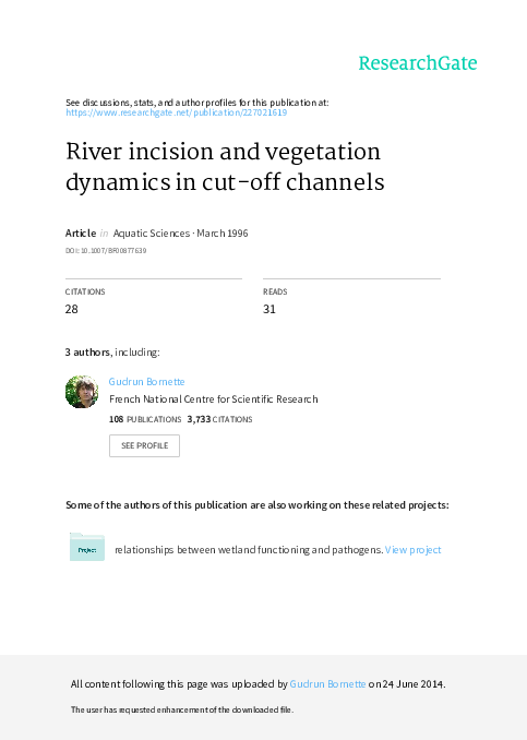 (PDF) River incision and vegetation dynamics in cut-off channels