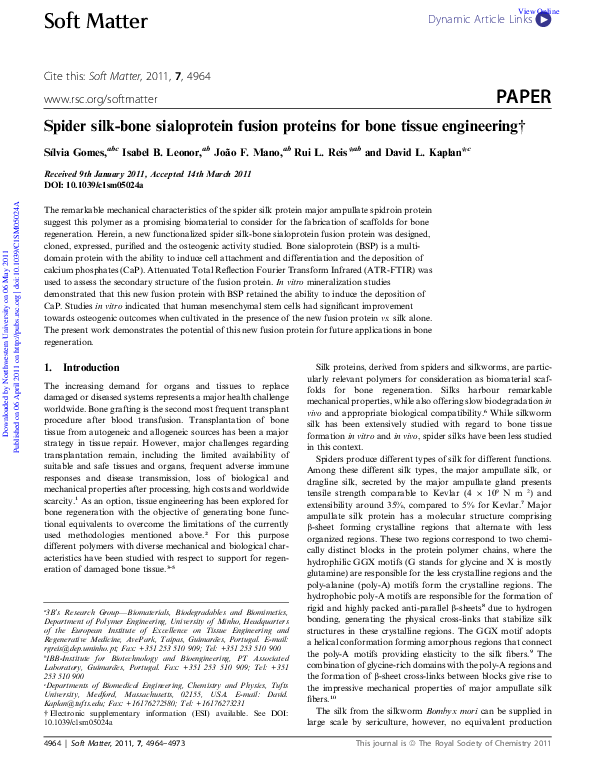 (PDF) Spider silk-bone sialoprotein fusion proteins for bone tissue ...