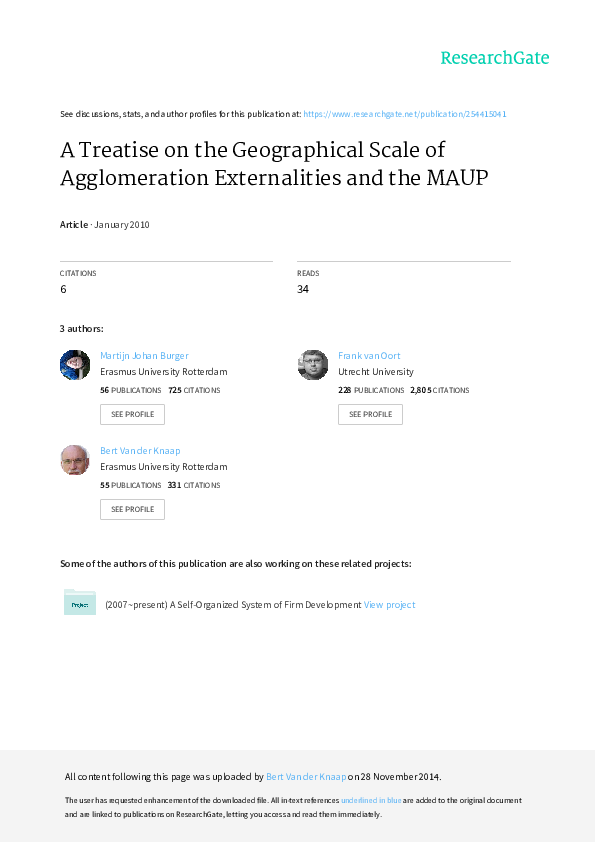 (PDF) A Treatise on the Geographical Scale of Agglomeration Externalities and the Modifiable ...