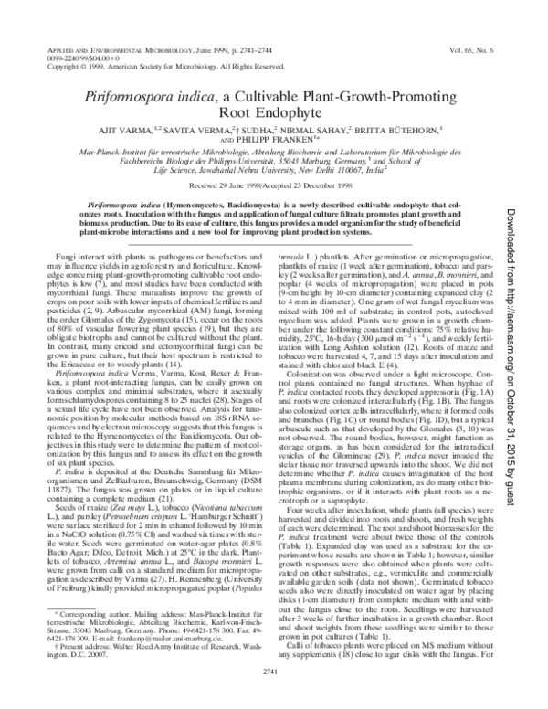 (PDF) Piriformospora indica, a cultivable plant-growth-promoting root endophyte