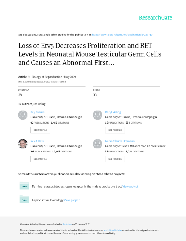 (PDF) Loss of Etv5 decreases proliferation and RET levels in neonatal ...