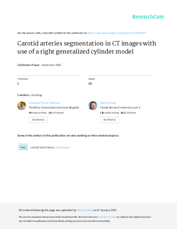 (PDF) Carotid arteries segmentation in CT images with use of a right ...