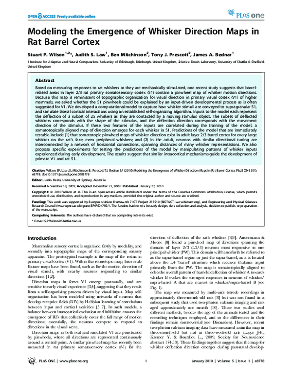 Pdf Modeling The Emergence Of Whisker Direction Maps In Rat Barrel Cortex