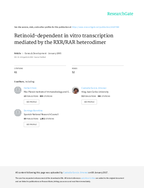(PDF) Retinoid-dependent in vitro transcription mediated by the RXR/RAR ...