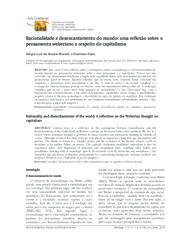 (PDF) Racionalidade e desencantamento do mundo: uma reflexão sobre o ...